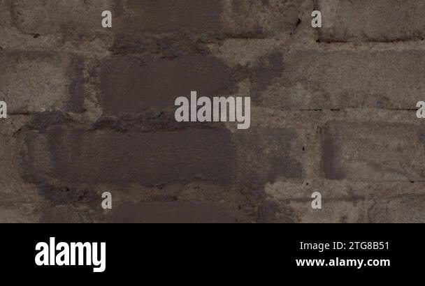Very old brick with mold Stock Videos & Footage - HD and 4K Video Clips ...
