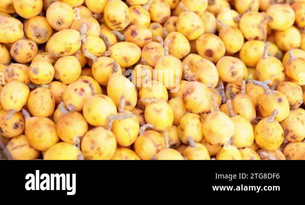 Ripe yellow chinese plum Stock Videos & Footage - HD and 4K Video Clips ...