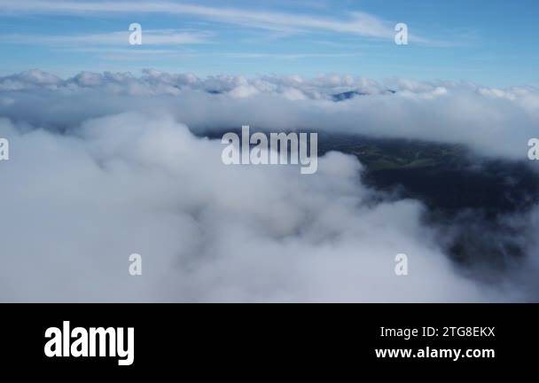 Foggy fog blows over spruce forests. Aerial shots of spruce forests on ...