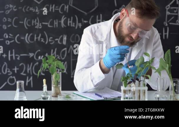 male biochemist works in a laboratory on plants against the background ...
