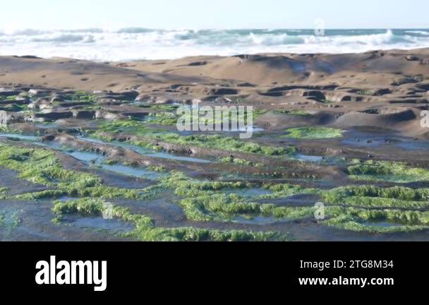 Eroded rock formation, tide pool in La Jolla, California coast, USA ...