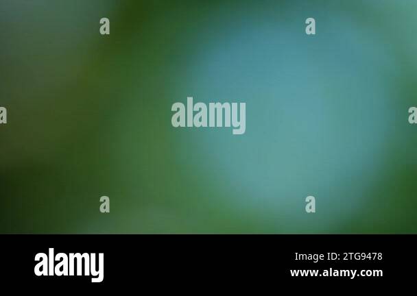 abstract green background.Color gradient animation. Moving soft blurred ...