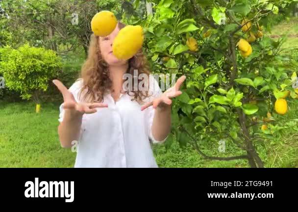 Fools tree Stock Videos & Footage - HD and 4K Video Clips - Alamy