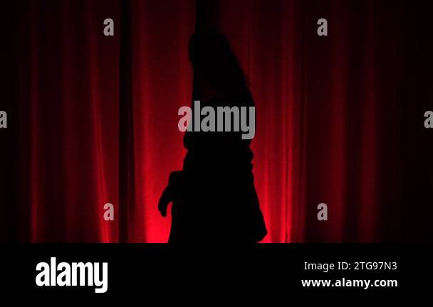 Silhouette of Attractive Body Shape with Fluttering long Hair with red ...