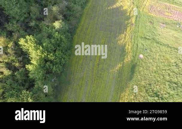 Farmland forest Stock Videos & Footage - HD and 4K Video Clips - Alamy