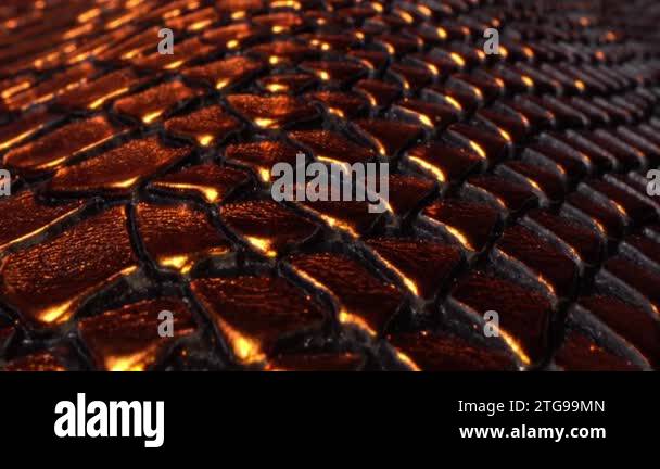 Real animal skin Stock Videos & Footage - HD and 4K Video Clips - Alamy