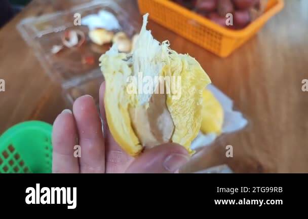 Gardener man cut open durian, open flesh of yummy organic yellow yummy ...
