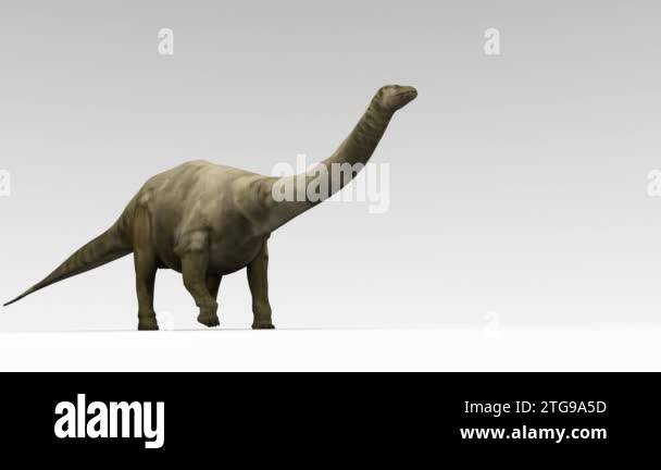 Brontosaurus Walking On White Background Animation Stock Video Footage ...