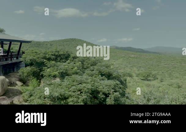 The park nature reserve Stock Videos & Footage - HD and 4K Video Clips ...