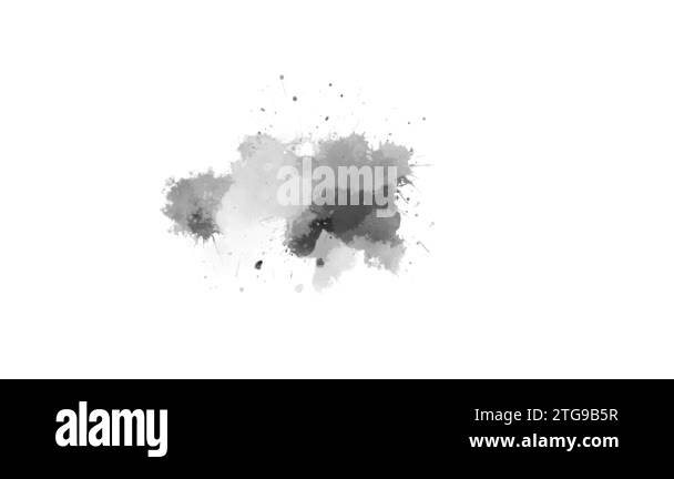 fluid ink splash transition on a white background. watercolor paint ...