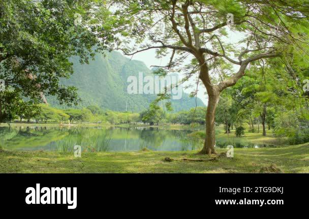 Beautiful scenery landscape of public park surrounding with green trees ...