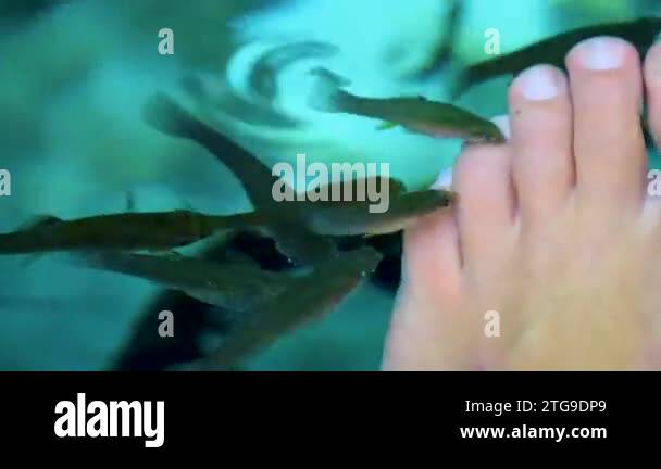 Fish spa pedicure fish bite feet in the amazing blue turquoise water ...