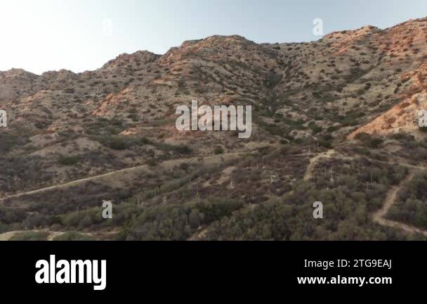 Sparse plants Stock Videos & Footage - HD and 4K Video Clips - Alamy