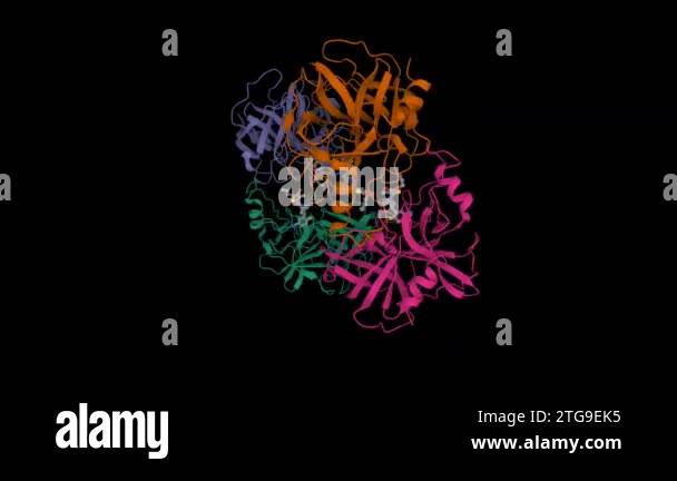 Mast cell cartoon Stock Videos & Footage - HD and 4K Video Clips - Alamy