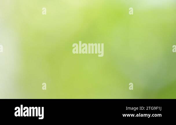 abstract green background.Color gradient animation. Moving soft blurred ...