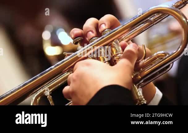 Bugle player Stock Videos & Footage - HD and 4K Video Clips - Alamy