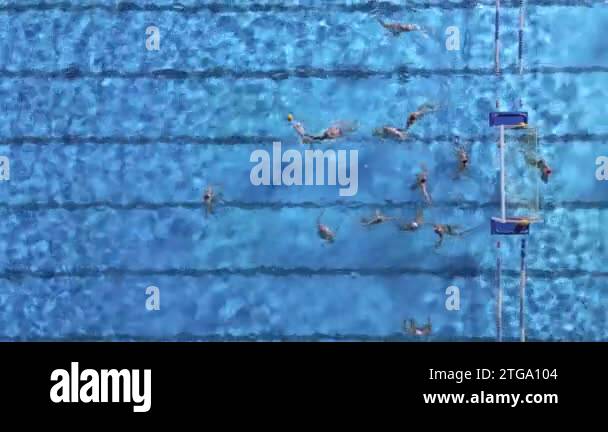 Aerial drone top down view of swimming pool with athletes training ...