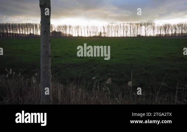 Flanders field belgium Stock Videos & Footage - HD and 4K Video Clips ...