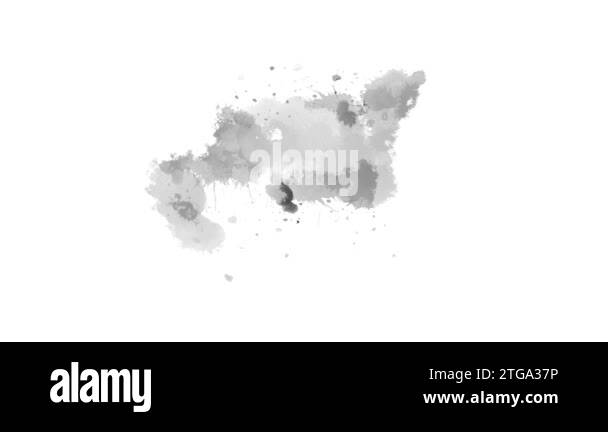 fluid ink splash transition on a white background. watercolor paint ...