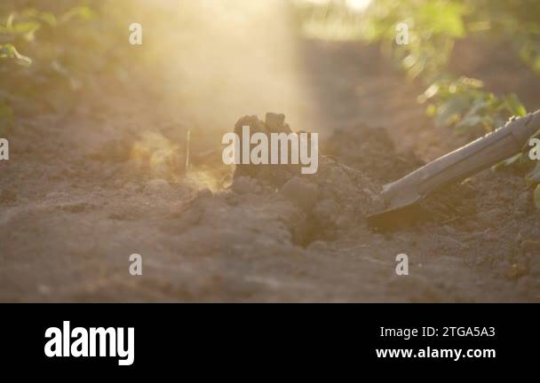 Digging soil into air shovel Stock Videos & Footage - HD and 4K Video Clips - Alamy