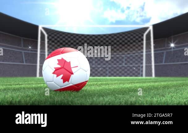 Canada soccer ball, rolling into stadium with camera flashes. 3D ...