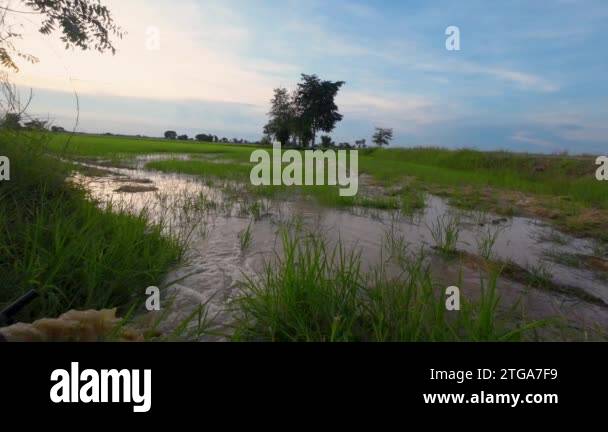 Outdated irrigation, pumping from self-generated water sources in the ...