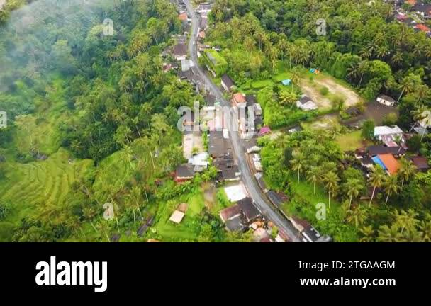 An amazing bird's eye view of road surrounded by palm trees and houses ...
