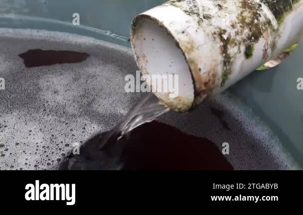 drains of residual water from hydroponic plants that are accommodated ...