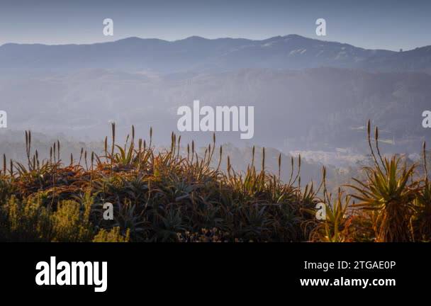 Carmel mountain range Stock Videos & Footage - HD and 4K Video Clips ...