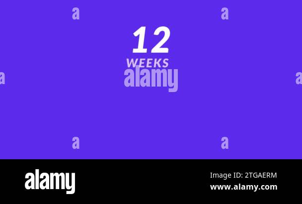 12-weeks money back guarantee. Money Back Guarantee Modern Animation Stock Video Footage - Alamy