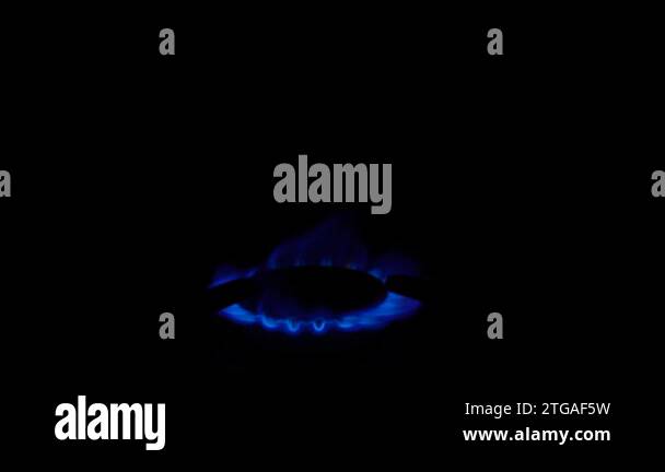 the gas burner on the kitchen stove lights up. Burning blue flame of ...