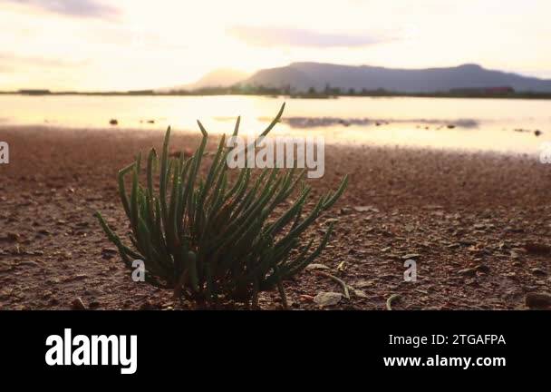Low climate change effect Stock Videos & Footage - HD and 4K Video ...