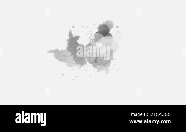 Ink splatters transition animation. Ink brush stroke transition. Ink ...