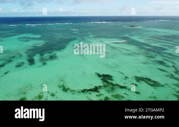 North atlantic coral reef Stock Videos & Footage - HD and 4K Video ...