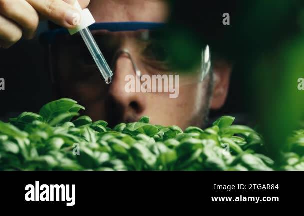 Genetically modified plants Stock Videos & Footage - HD and 4K Video ...