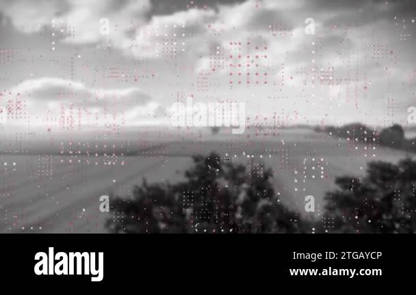 Animation of networks of dots moving over black and white countryside ...