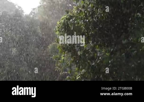 Raining, Torrential Rain, Storm, Summer Rainy Day on countryside ...