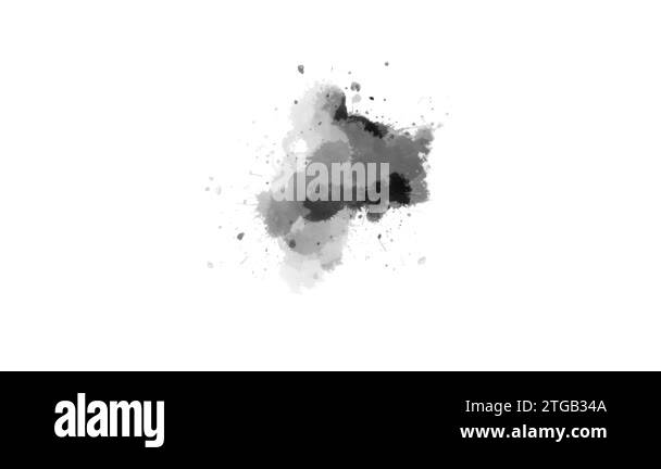 fluid ink splash transition on a white background. watercolor paint ...