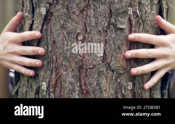 Female hand touches embrace, cuddles a tree in the forest. People and ...