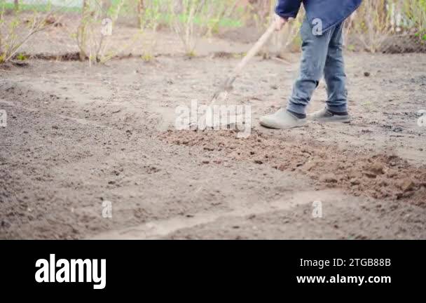Digging up the garden in spring with a shovel by hand. Fast shooting ...