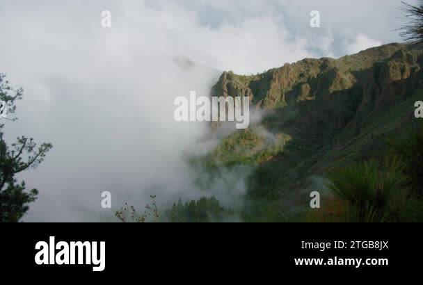 Moody weather in mountains. Misty fog blowing over pine tree forest and ...