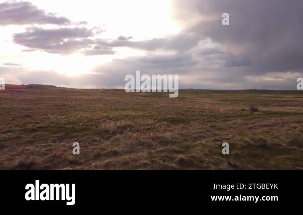 Ranching canadian prairies Stock Videos & Footage - HD and 4K Video ...