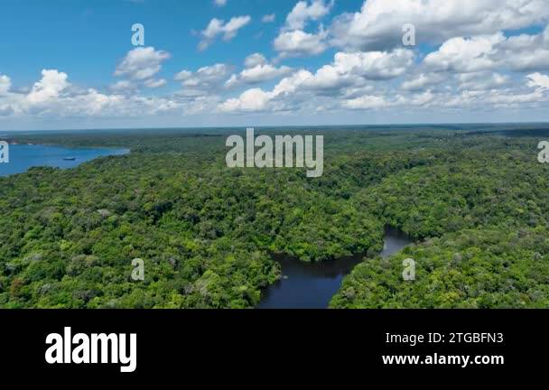 Nature aerial view of Amazon forest at Amazonas Brazil. Mangrove forest ...