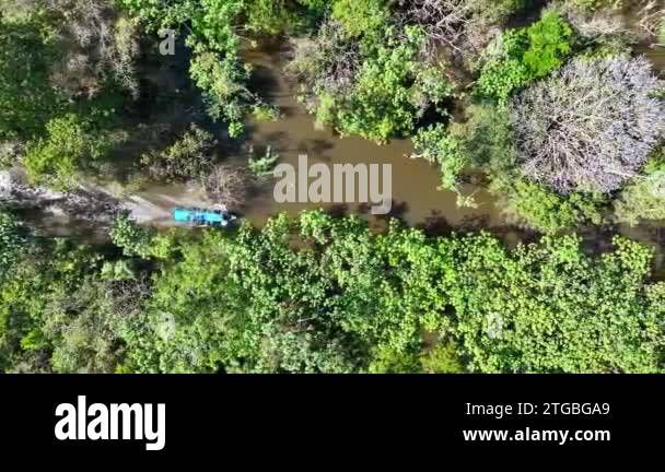 Boat sailing at Amazon river at Amazon forest at Amazonas state Brazil ...