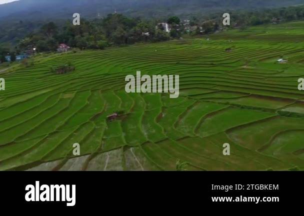 Map of rice farming Stock Videos & Footage - HD and 4K Video Clips - Alamy