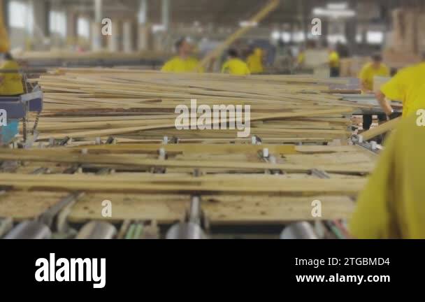 Working process at a furniture factory. People work on the conveyor ...