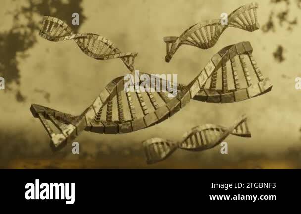 Four Golden DNA molecule complex spiral structure on a gold background ...