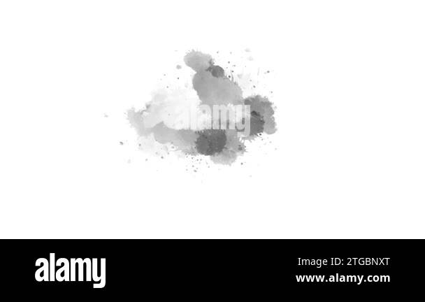 fluid ink splash transition on a white background. watercolor paint ...