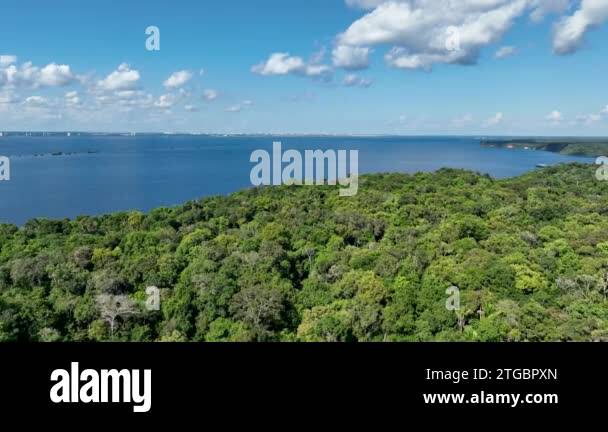 Nature aerial view of Amazon forest at Amazonas Brazil. Mangrove forest ...