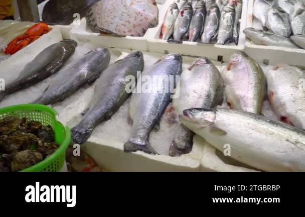 Fresh seafood market in Batumi Georgia. Live fish in ice. Flounder, red ...